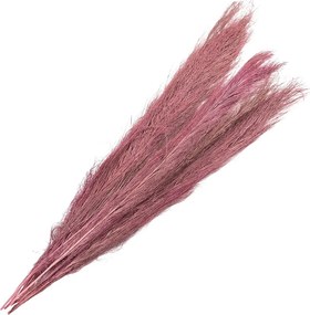 Dekorace růžová sušená květina - 100 cm (15ks)