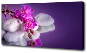 Wallmuralia Foto obraz na plátně do obýváku Orchidej 100x50