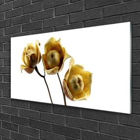 Obraz na skle Květiny Rostlina 120x60 cm