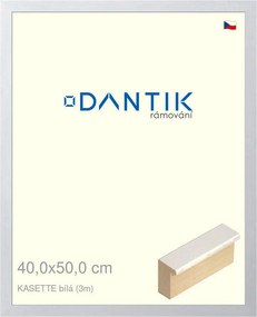 DANTIK rámeček 40x50 | KASSETTE bílá (Sklo Čiré)