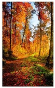 DIMEX | Vliesová fototapeta na zeď Procházka lesem MS-2-0065  | 150 x 250 cm | oranžová, zelená