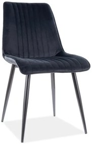 Casarredo - Komfort nábytek Jídelní židle PIKI velvet černá/černý kov