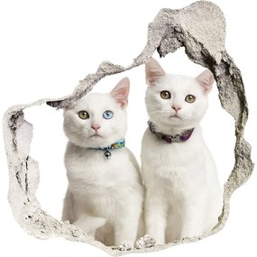 Wallmuralia Nálepka fototapeta 3D na zeď Bílé kočky 75x75 cm