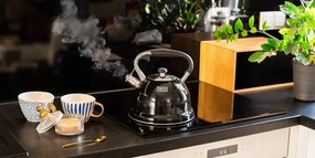 Nerezová konvice s píšťalkou 3L TEESA TSA0152, černá