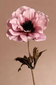 Paramit DRY SINGLE ANEMONE Aranžovací květina růžová 35 cm