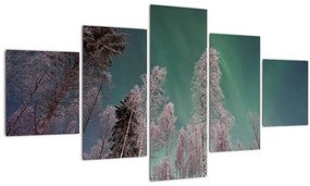 Obraz polární záře nad zmrzlými stromy (125x70 cm)