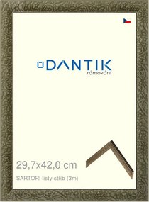 DANTIK rámeček 29,7x42 | SARTORI listy stříb (Plexi Čiré)