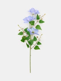 Sinsay - Decorative plant – clematis - modrá