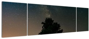 Obraz noční oblohy se stromy (170x50 cm)