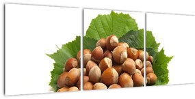 Lískové ořechy, obraz