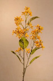 Paramit DRY VIBURNUM TINUS Aranžovací květina žlutá 58 cm