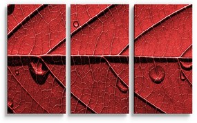 Sablio Obraz - 3-dílný Červený list - 120x80 cm