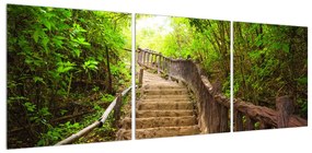 Obraz schodů vedoucích krajinou (120x40 cm)