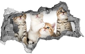 Wallmuralia Díra 3D fototapeta nástěnná Nálepka koťátka 95x73 cm