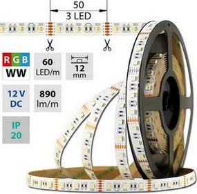 LED pásek McLED 12V RGBW WW teplá bílá 12mm IP20 19,2W/m ML-123.635.60.0 (5m)