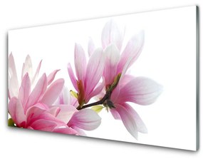 Obraz na skle Magnolie Květ 140x70 cm
