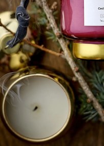 Vonná svíčka Illume Cozy Nectarine 9,5 cm zlatá