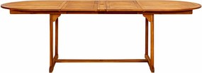 Zahradní jídelní stůl (160–240) x 100 x 75 cm masivní akácie 316565
