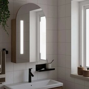 vidaXL Koupelnová zrcadlová skříňka s LED klenutá 42 x 13 x 70 cm [357975] Barva: Šedá