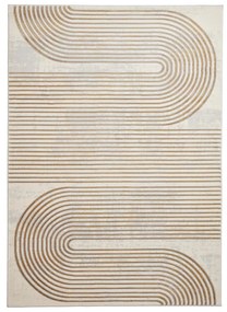 Koberec v šedo-zlaté barvě 170x120 cm Apollo – Think Rugs