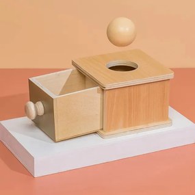 Montessori dřevěné hračky - vkládací krabičky Barva: 3 887