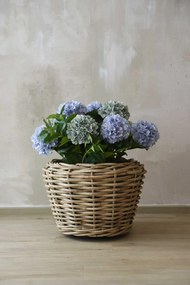 Přírodní květináč na rostliny BOJO, ratan, průměr 57 cm, natur