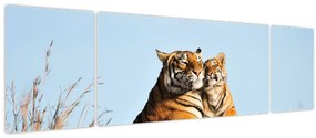 Obraz - Tygřice a její mládě (170x50 cm)
