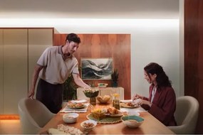 Philips - LED RGBW Stmívatelný pásek Hue FLUX 3m LED/29W/230V 2200-6500K