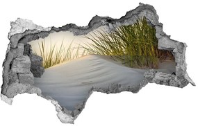 Wallmuralia Samolepící díra na stěnu Mořské duny 95x73 cm