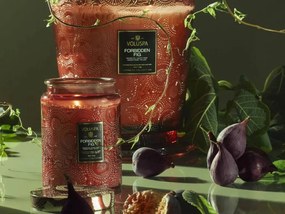 Voluspa – vonná svíčka Forbidden Fig (Zralý fík), 510 g