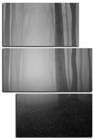 Obraz na plátně - Mlha v lese - obdélník 7182QD (105x70 cm)