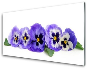 Obraz na skle Plátky Květ Macešky 140x70 cm