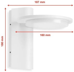 Telefunken 312406TF - LED Venkovní nástěnné svítidlo LED/10W/230V IP44