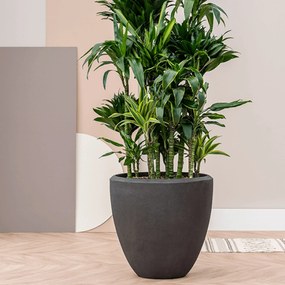Baq Polystone Plain Couple Smoke s vložkou Ø 40 cm / V 40 cm