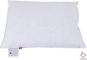 Polštář s péřovou výplní 50x60 cm Jack the Dullard – Ringsted Dun