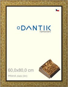 DANTIK rámeček 60x80 | PRAHA zlatá (Plexi Čiré)