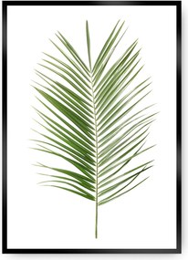 Plakát Palm Leaf Green