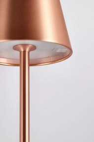 BIZZOTTO Podlahová LED lampa ETNA 115cm bronzová 0827771