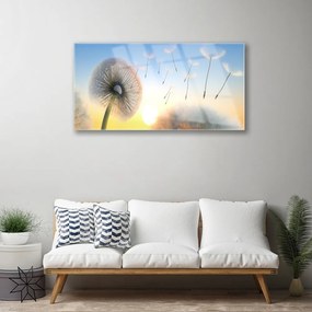 Plexisklo-obraz Pampeliška Květiny 100x50 cm