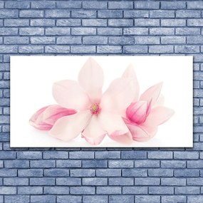 Obraz na plátně Květiny Plátky Rostlina Příroda 100x50 cm