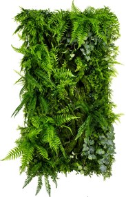 Vertikální zahrada Leafy Frond 50x100
