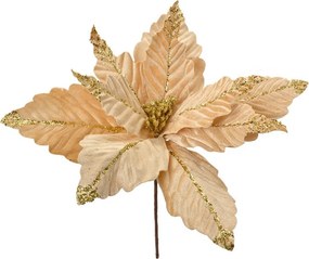Béžovo-zlatá květina béžová vánoční hvězda Poinsettia - Ø 36*36 cm