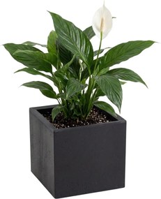 Sada 2 ks květináčů BETONIQUE 30x30/30x60 cm - výběr z 2 provedení
