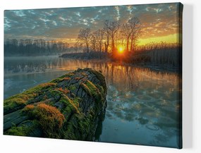 Obraz na plátně - Mechová kláda v mokřadech FeelHappy.cz Velikost obrazu: 40 x 30 cm