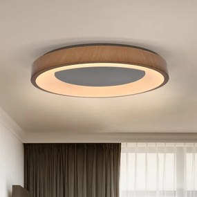 Brilagi - LED Stmívatel. svítidlo DORIA LED/60W/230V 3000-6500K pr. 60 cm + DO