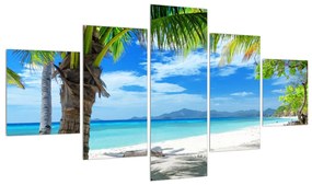 Obraz palmy a pláže (125x70 cm)