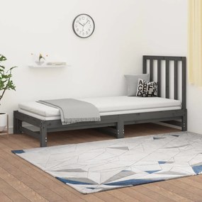 vidaXL Výsuvná postel 2x (90 x 190) cm masivní borovice [3108328] Barva: Šedá