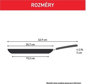 Pánev s nepřilnavým povrchem na lívance ø 25 cm Pancake time D5292072 – Tefal