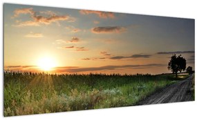Západ slunce - obraz (100x40cm)