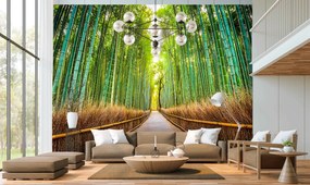 Malvis ® Tapeta bambusová stezka Vel. (šířka x výška): 216 x 140 cm